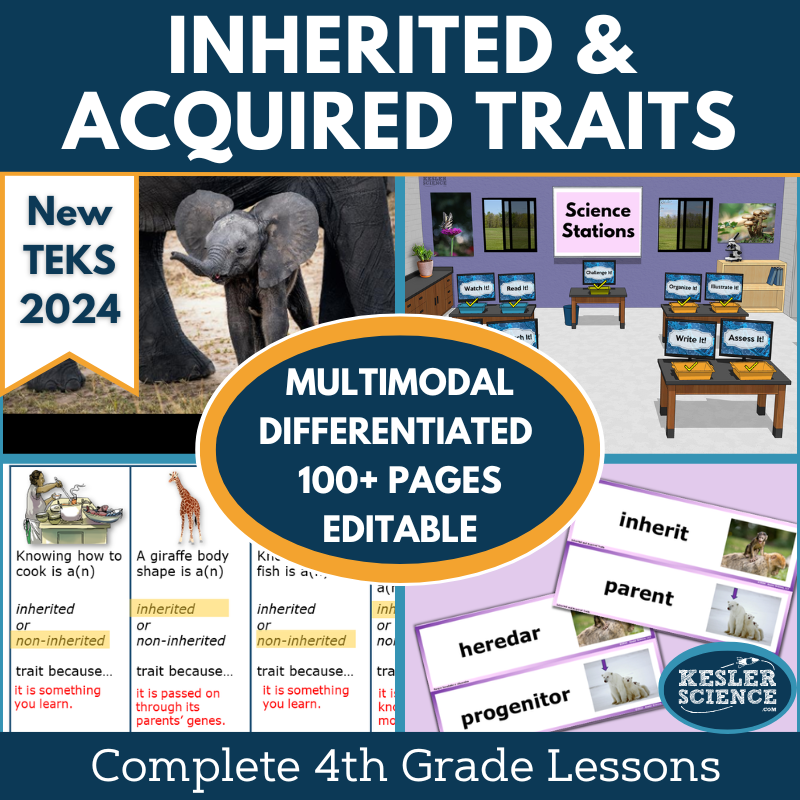 TEKS 4.13B Inherited & Acquired Traits Activities 4th Grade Science